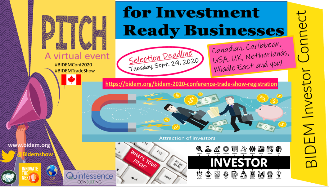 Investor Connect & Match Making - Register Now - BIDEM BIDEM